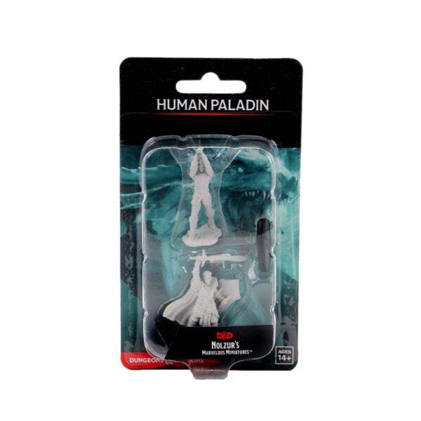 D&D Nolzur's Marvelous Miniatures: Male Human Paladin - Geek Culture
