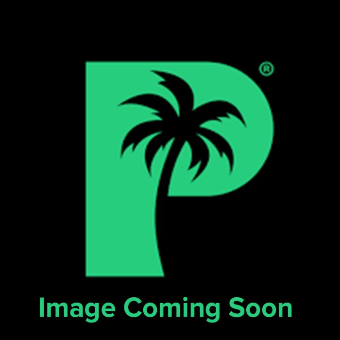 Palms Off Archives - Geek Culture